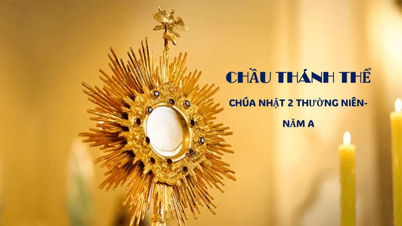 CHẦU THÁNH THỂ – CHÚA NHẬT 2 THƯỜNG NIÊN, NĂM A | Giáo Phận Phan Thiết